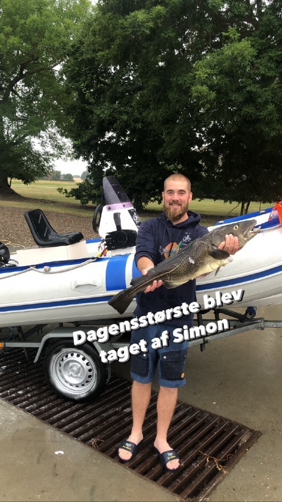 Strøm - Torsk fanget af simon-ravn ved Øst over - uvjægeren.dk by Kingfish